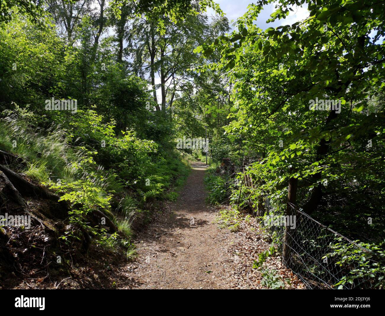 Closeup shot pathway surrounded hi-res stock photography and images - Alamy