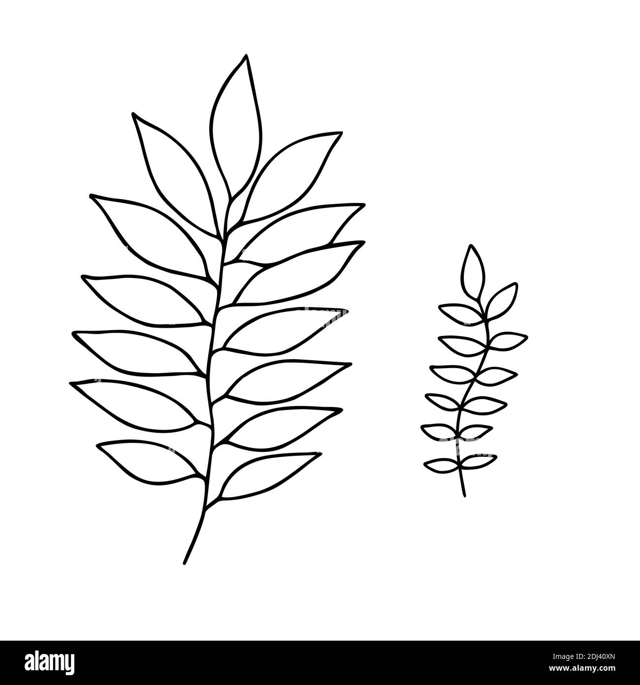 Simple leaves vector minimalist concept outline illustration, thin line ...
