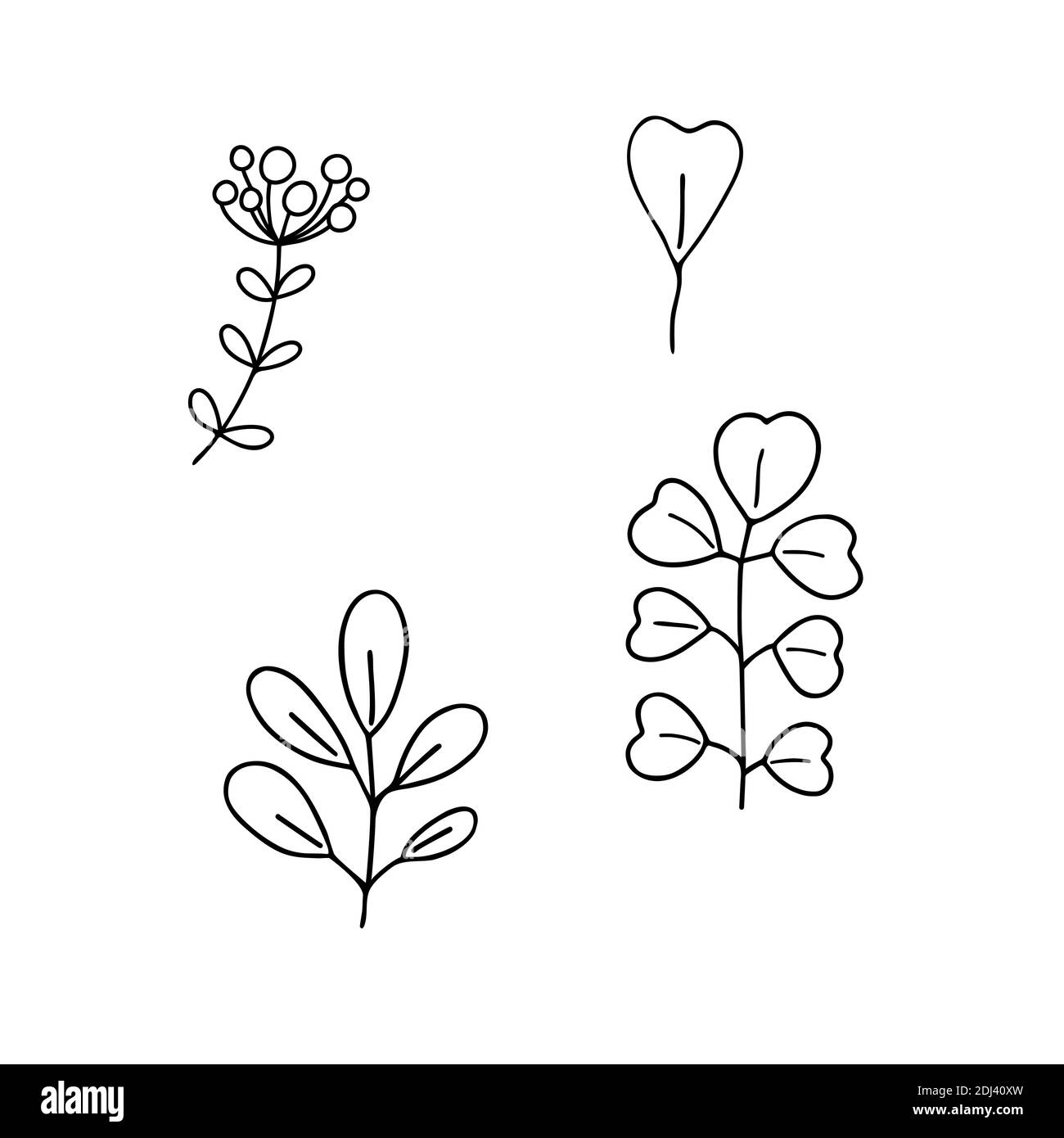 Leaves simple outline vector minimalist concept illustration, thin line ...