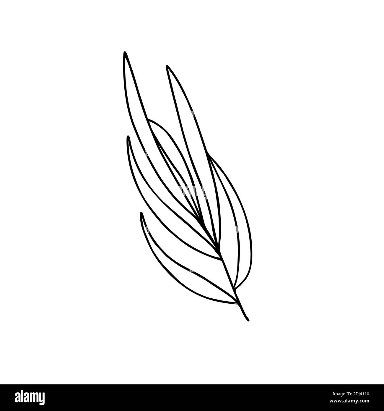 Leaves simple vector minimalist concept outline illustration, thin line ...