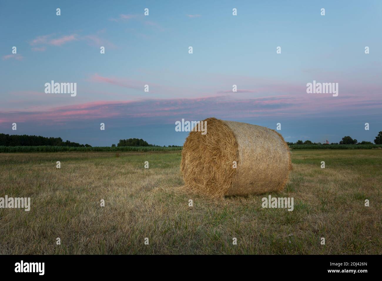 Round hay bale in the field and clouds after sunset Stock Photo - Alamy