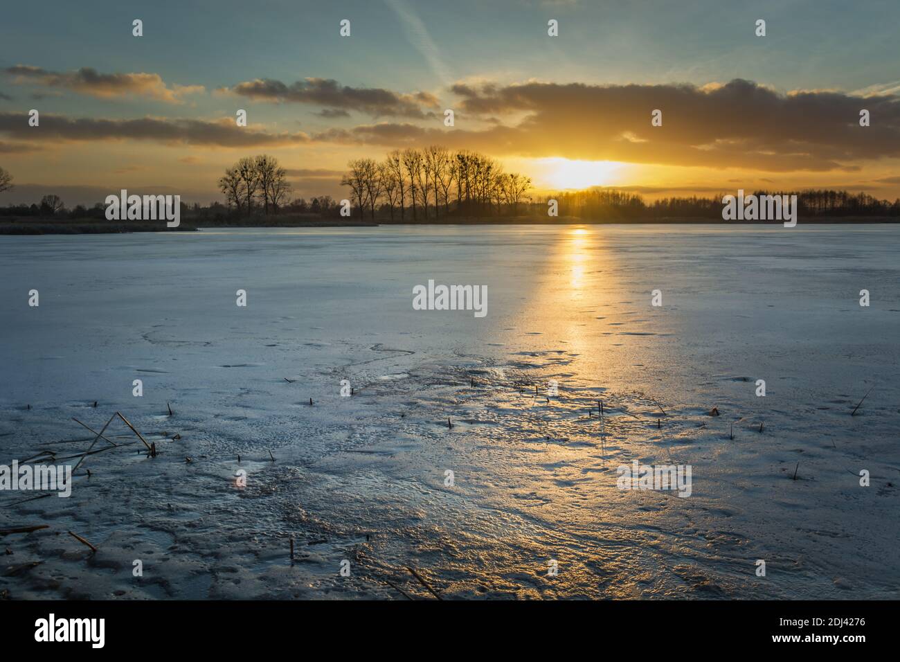 Frozen lake, trees on the horizon and a beautiful sunset Stock Photo ...