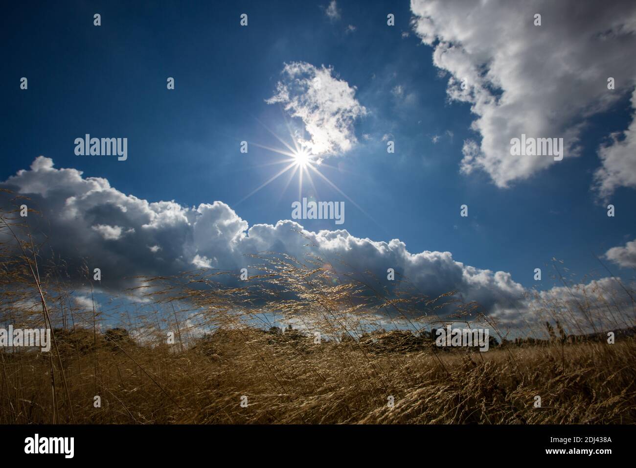 Blue sky with sun at midday no clouds hi-res stock photography and ...