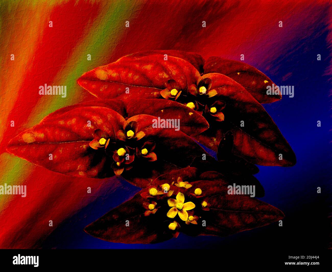 Image of a group of red weeds on a multicoloured background Stock Photo ...