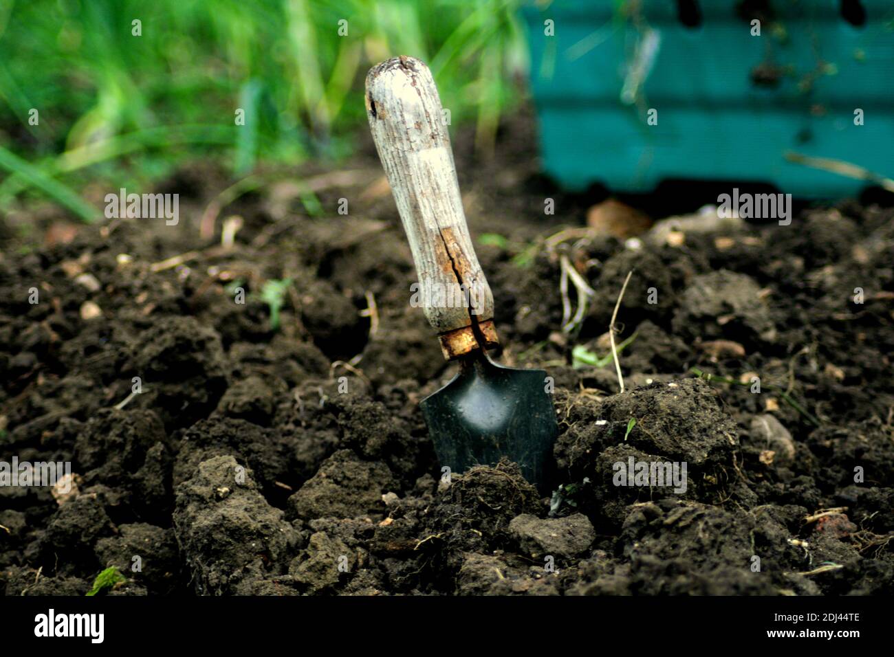 Man holding trowel soil plant hi-res stock photography and images - Alamy