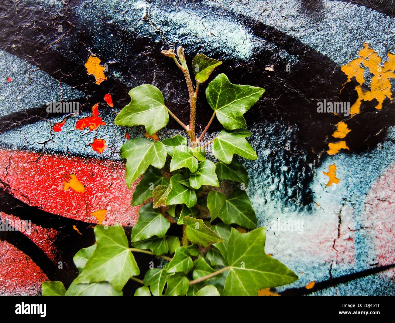 Mother Nature Taking Back Man Made Structure Stock Photo - Alamy