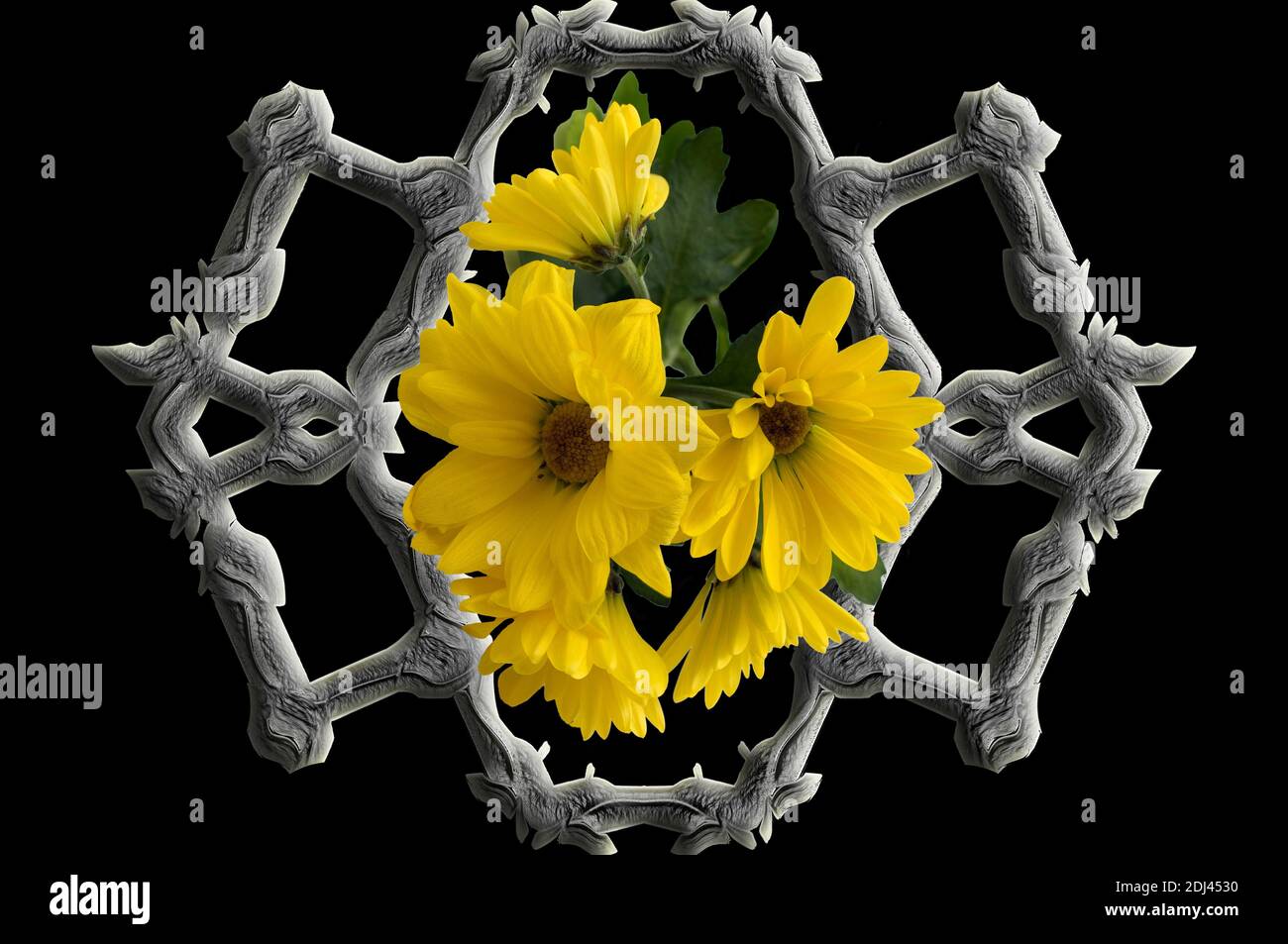 abstract wallpaper with flowers, full of colors, weird ornaments and ...