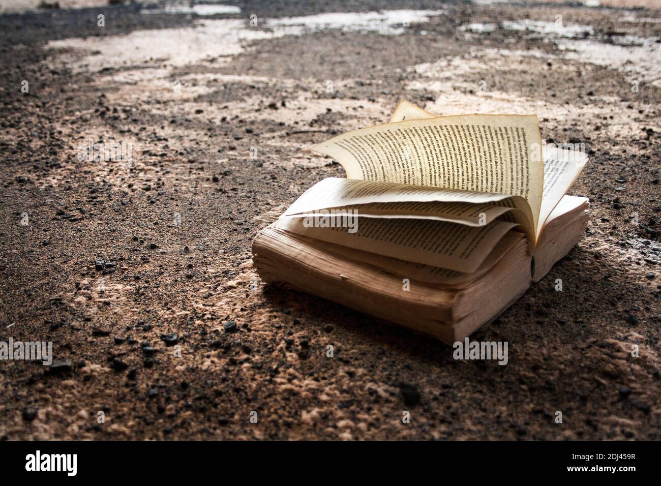 Abandoned Book In Derelict Building Stock Photo - Alamy