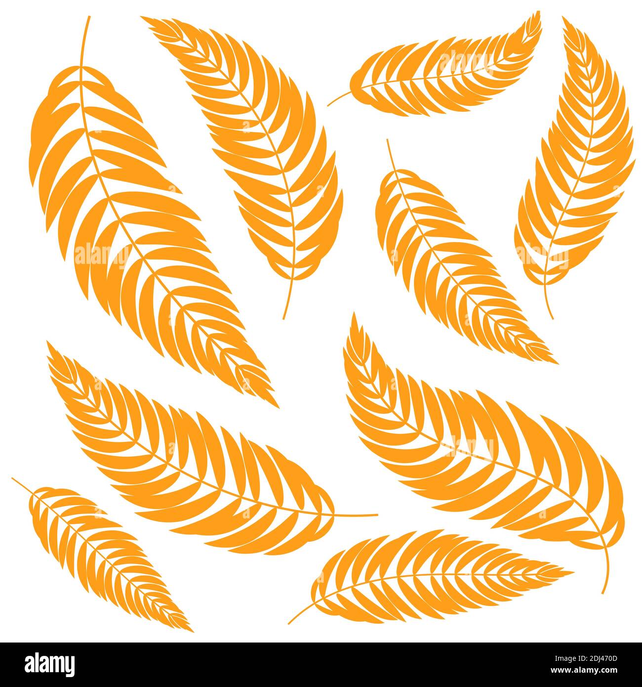 Set flat abstract isolated orange leaf curving in different directions ...
