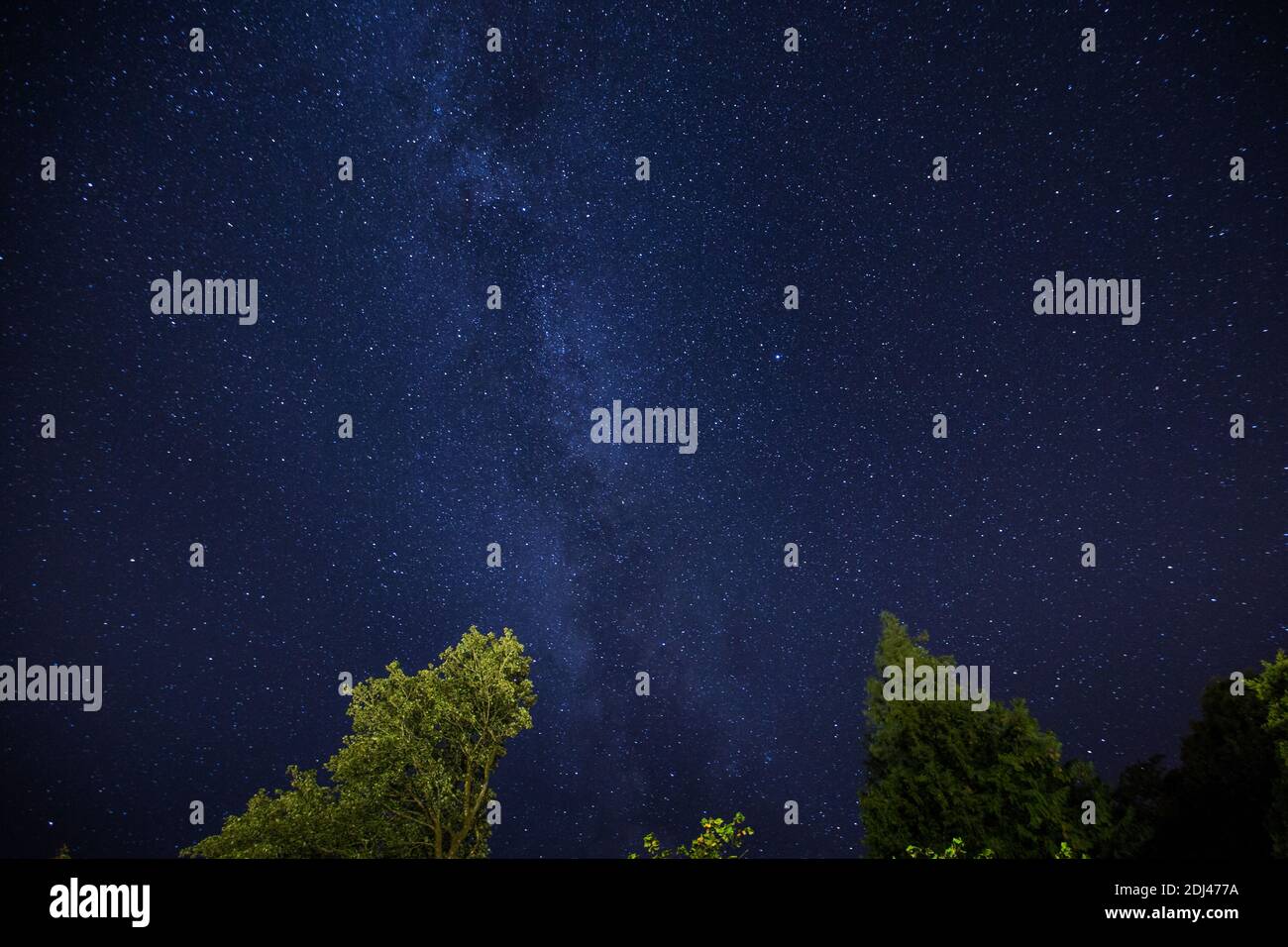 Milky Way Over Trees Stock Photo - Alamy