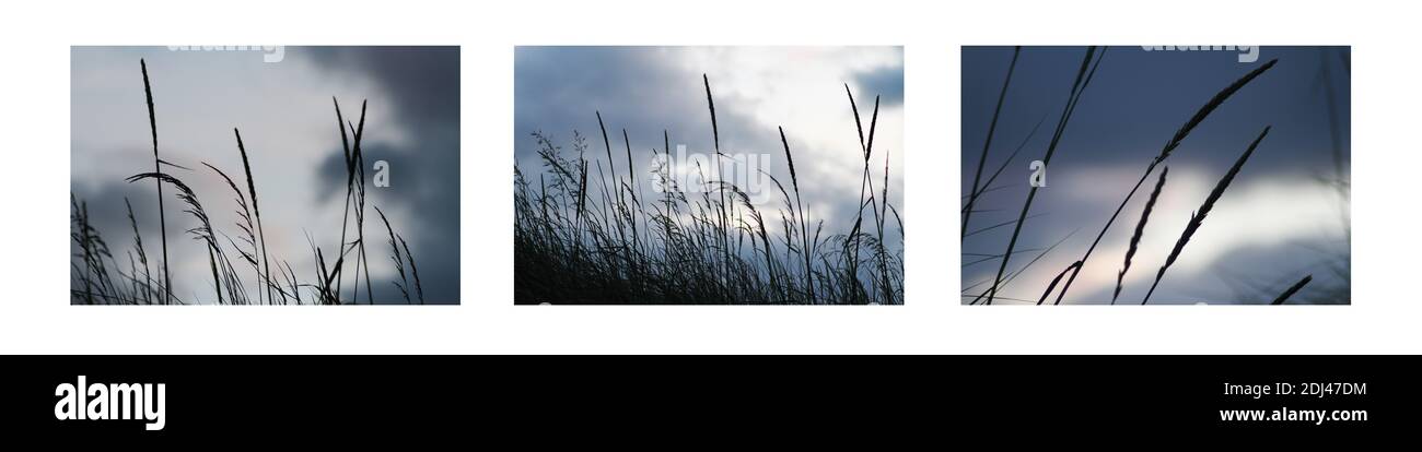 Landscapes collection Cut Out Stock Images & Pictures - Alamy