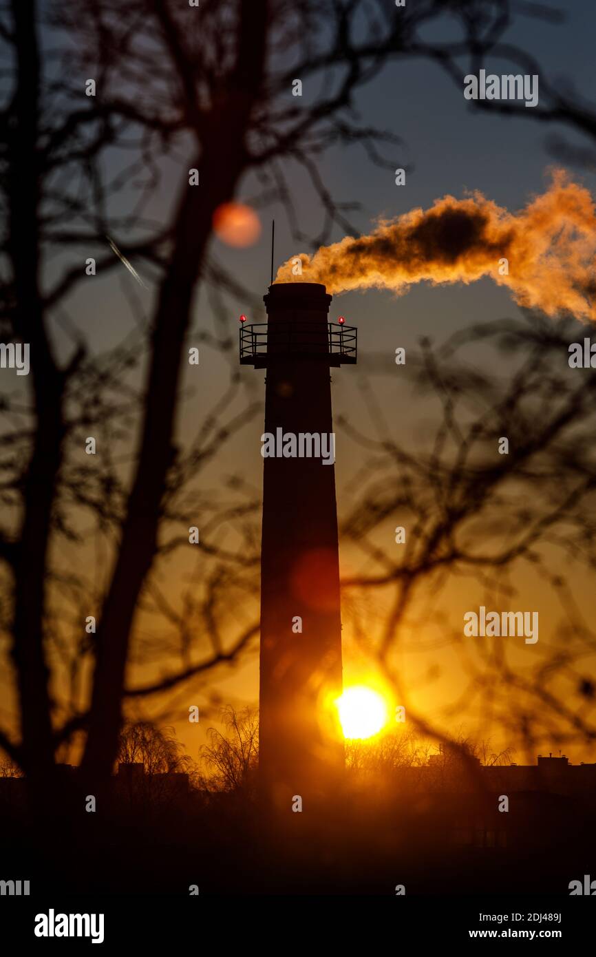 Factory work, chimney with smoke, view through tree branches, sunset ...
