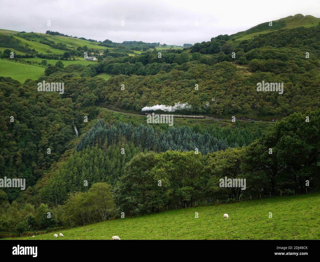 Vale of rheidol railway wales hi-res stock photography and images - Alamy