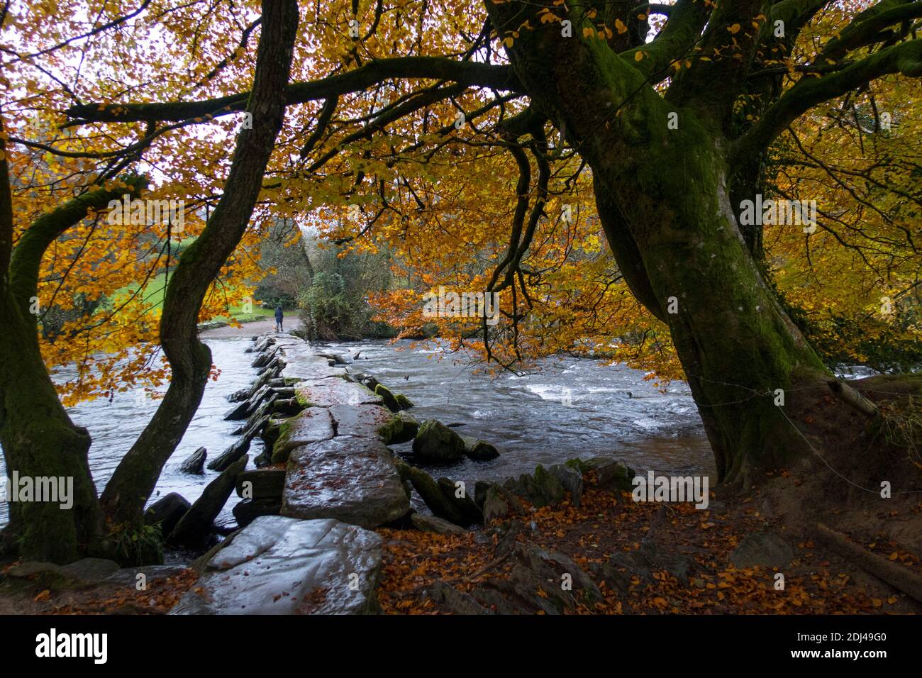 Tarr Steps Exmoor National Park, ancient stone bridge near Withypool ...