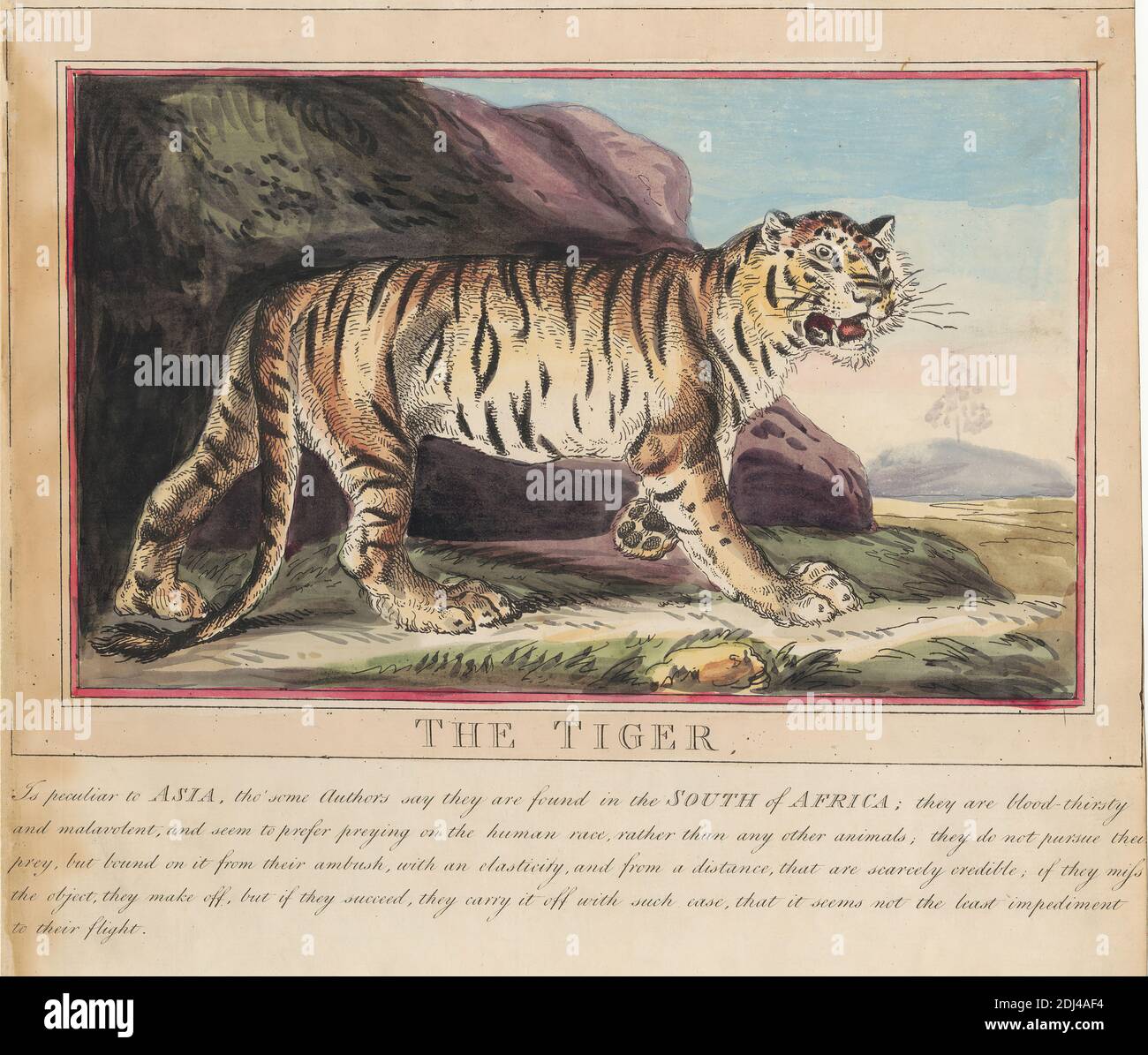 Thomas wolf hi-res stock photography and images - Alamy