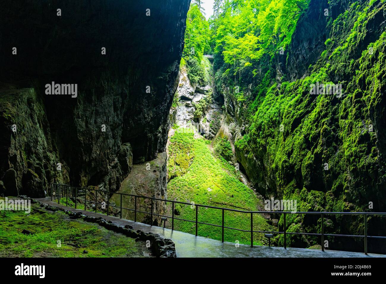 Macocha Abyss Large Limestone Gorge In Moravian Karst Czech Macocha Abyss Large Limestone Gorge In Moravian Karst Czech