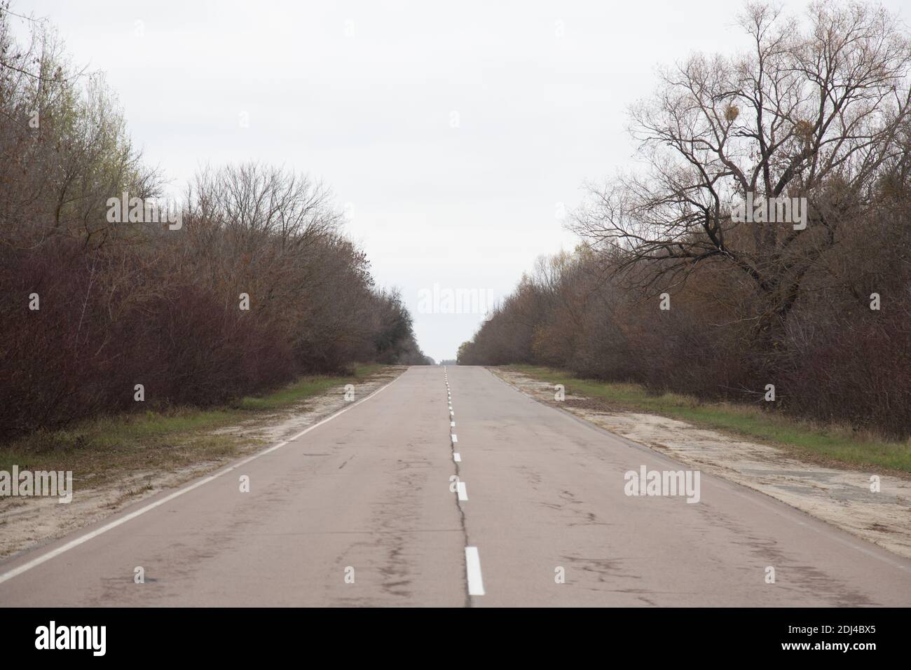 The road between the first check point of the Chernobyl exclusion area ...
