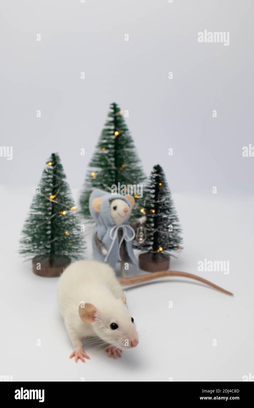 White little rat among beautiful holiday trees in the forest. A toy in ...