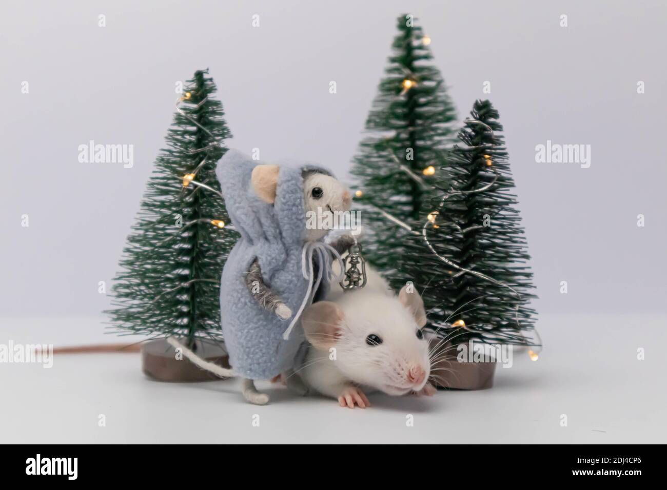 White little rat among beautiful holiday trees in the forest. A toy in ...