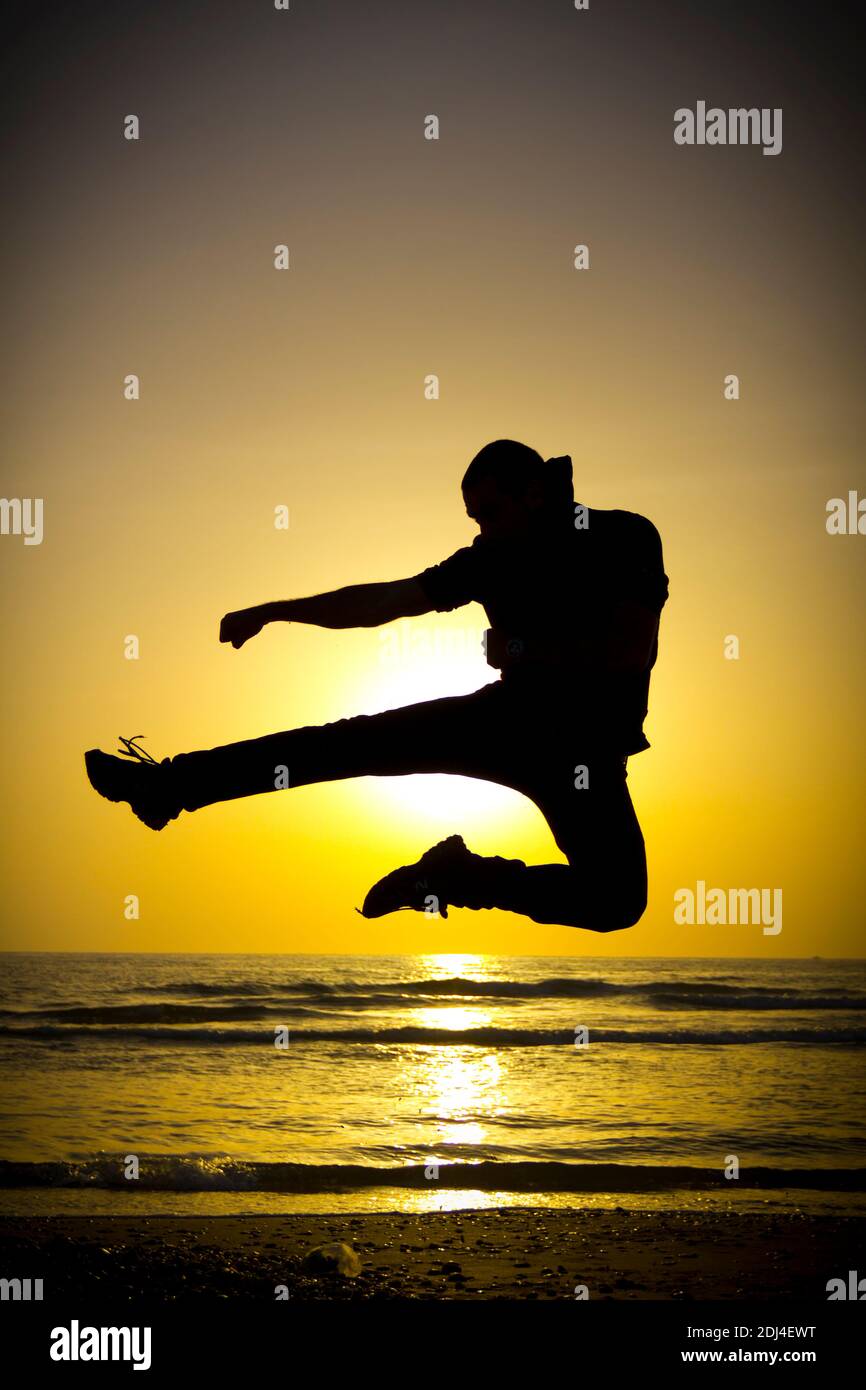 Martial arts adult silhouette hi-res stock photography and images - Alamy