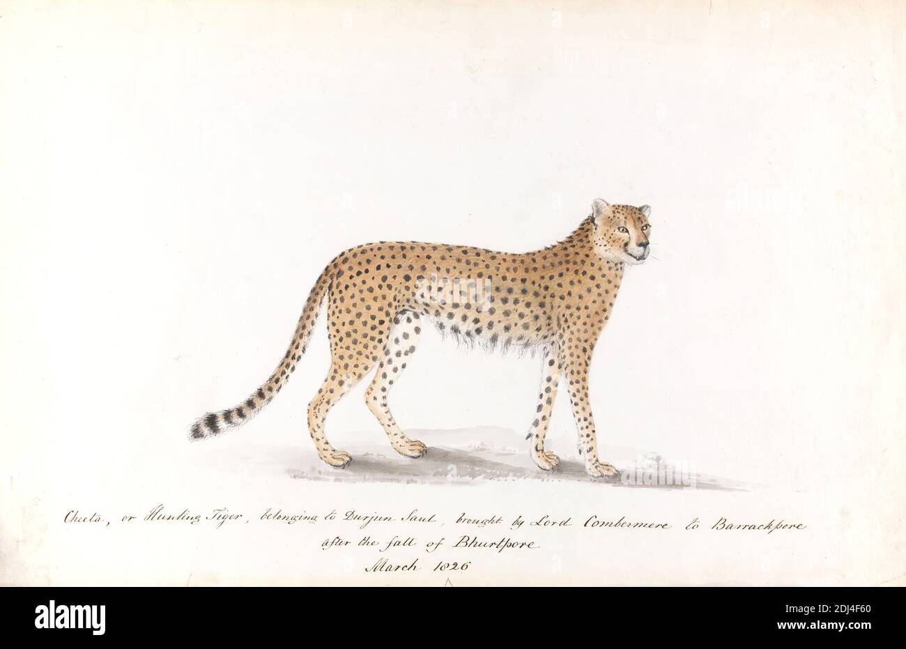 Lord combermere hi-res stock photography and images - Alamy