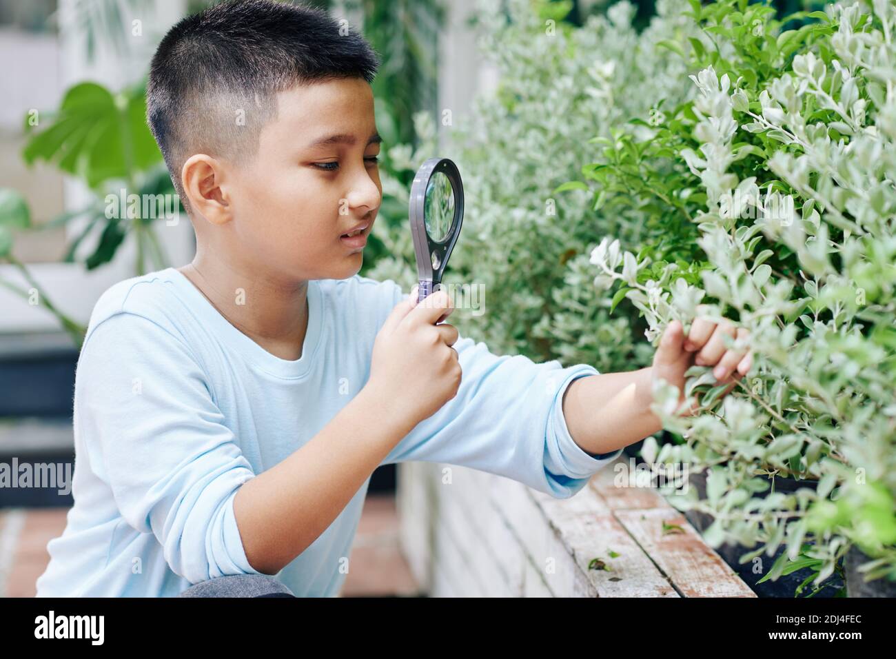 Curious child exploring science hi-res stock photography and images - Alamy