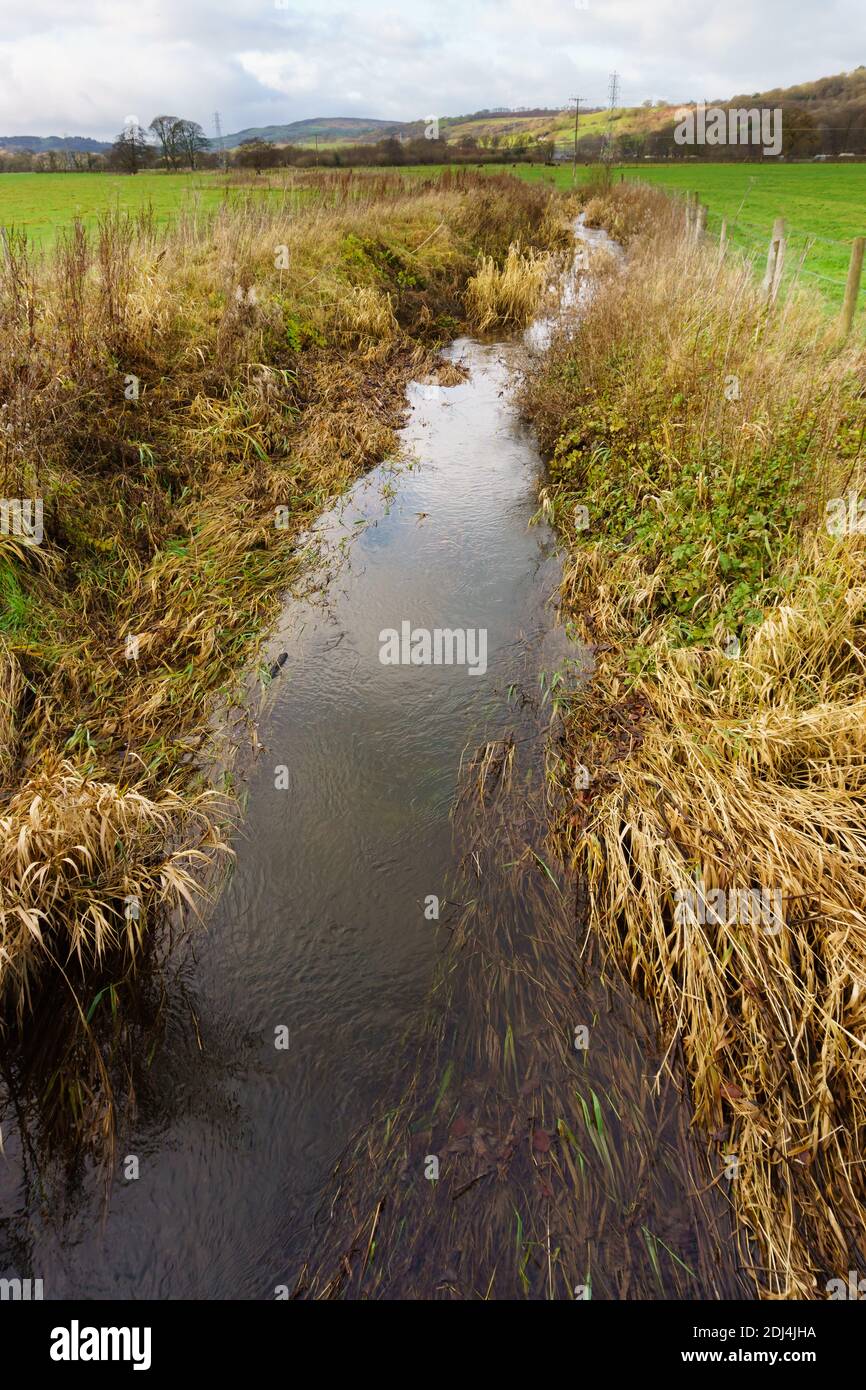 Waterlogged trench hi-res stock photography and images - Alamy