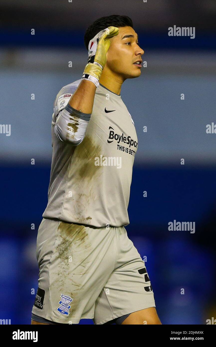 Birmingham City goalkeeper Neil Etheridge during the Sky Bet ...