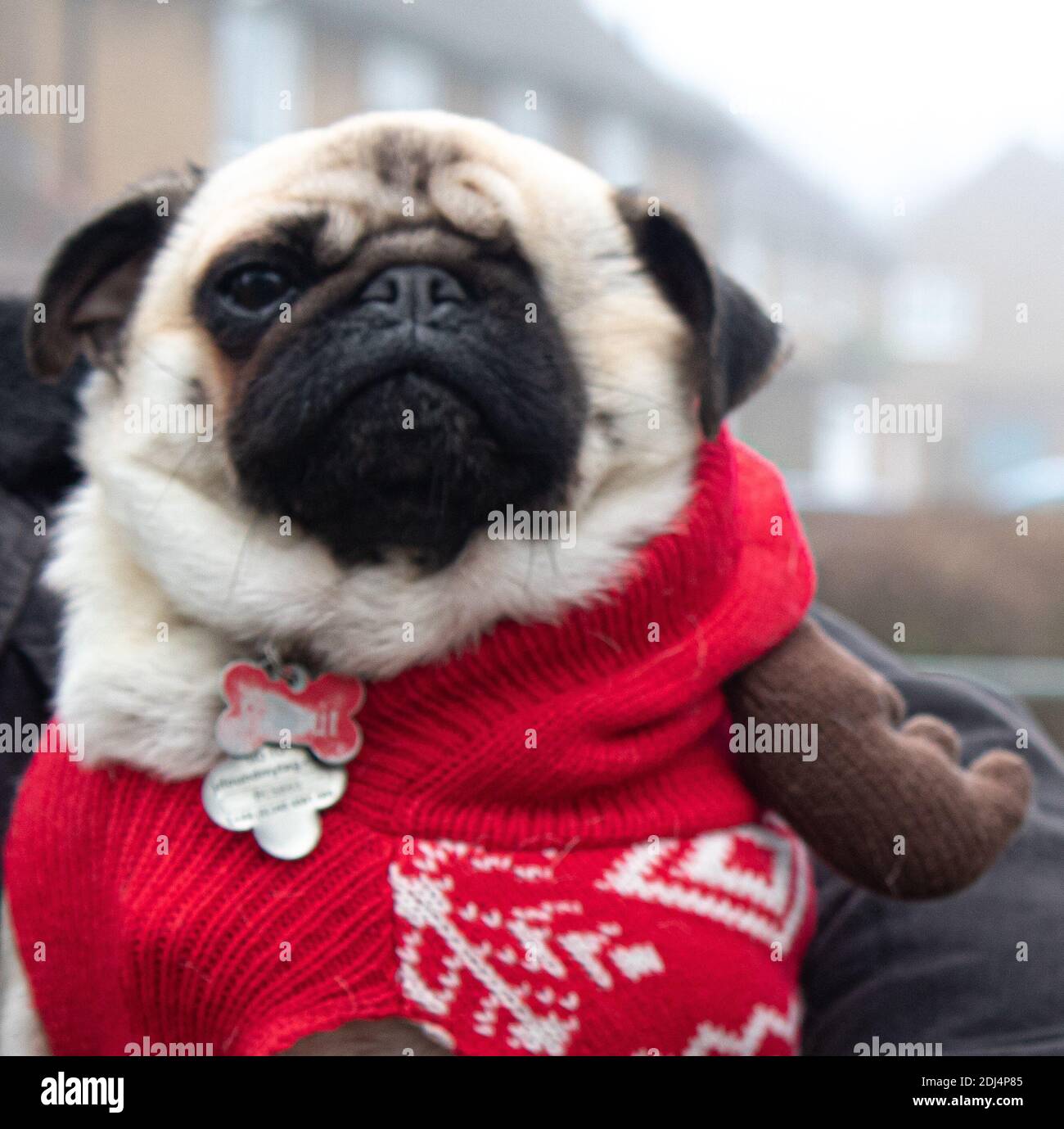 Eye cute hi-res stock photography and images - Alamy