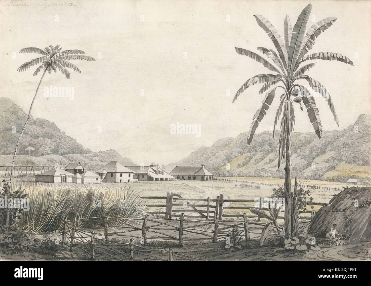 Halse hall hi-res stock photography and images - Alamy