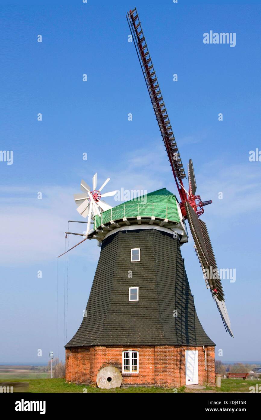Deutschland, Mecklenburg-Vorpommern, Stove, Holl‰nder Windm¸hle ...