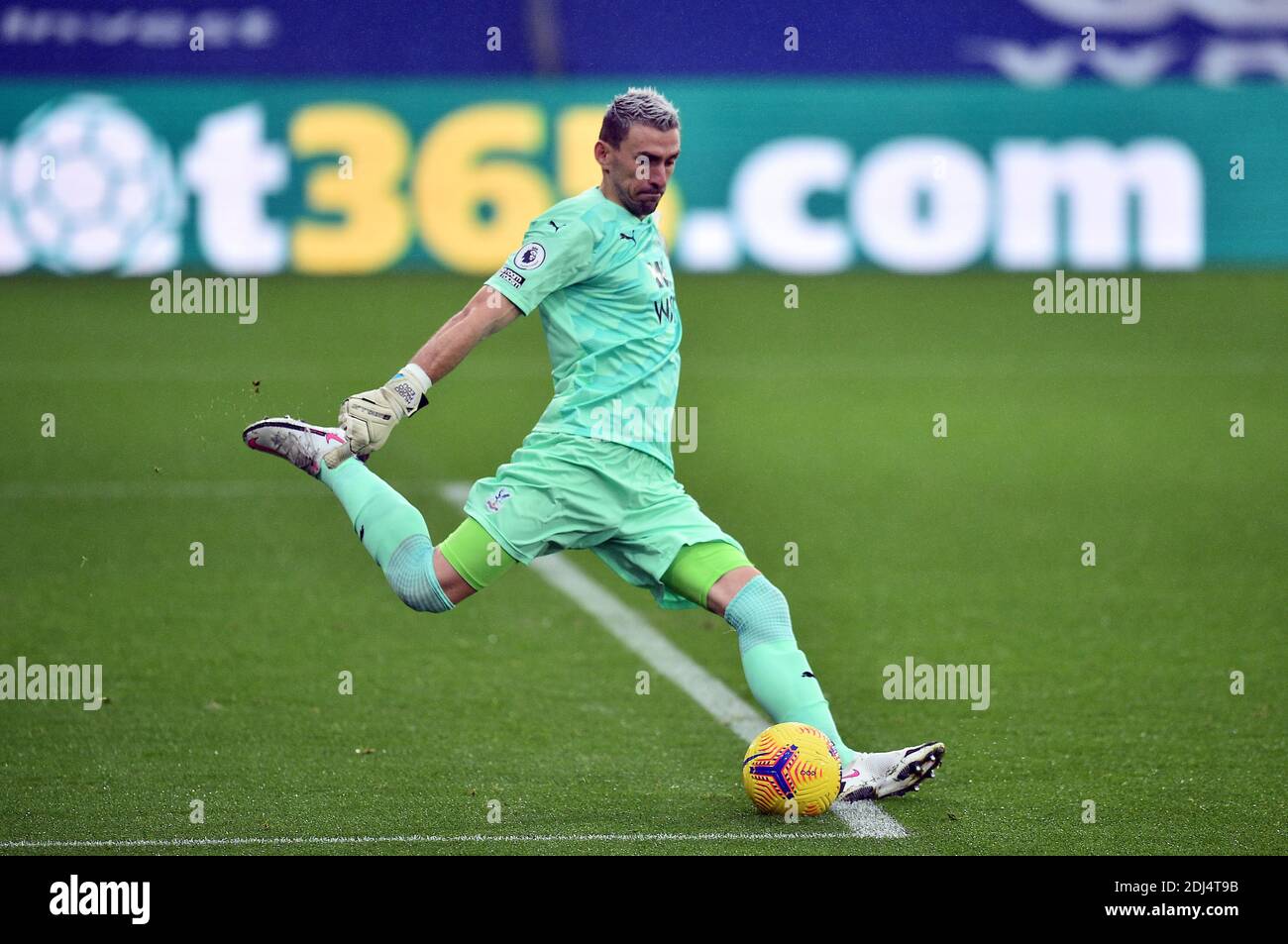 Crystal Palace goalkeeper Vicente Guaita during the Premier League ...