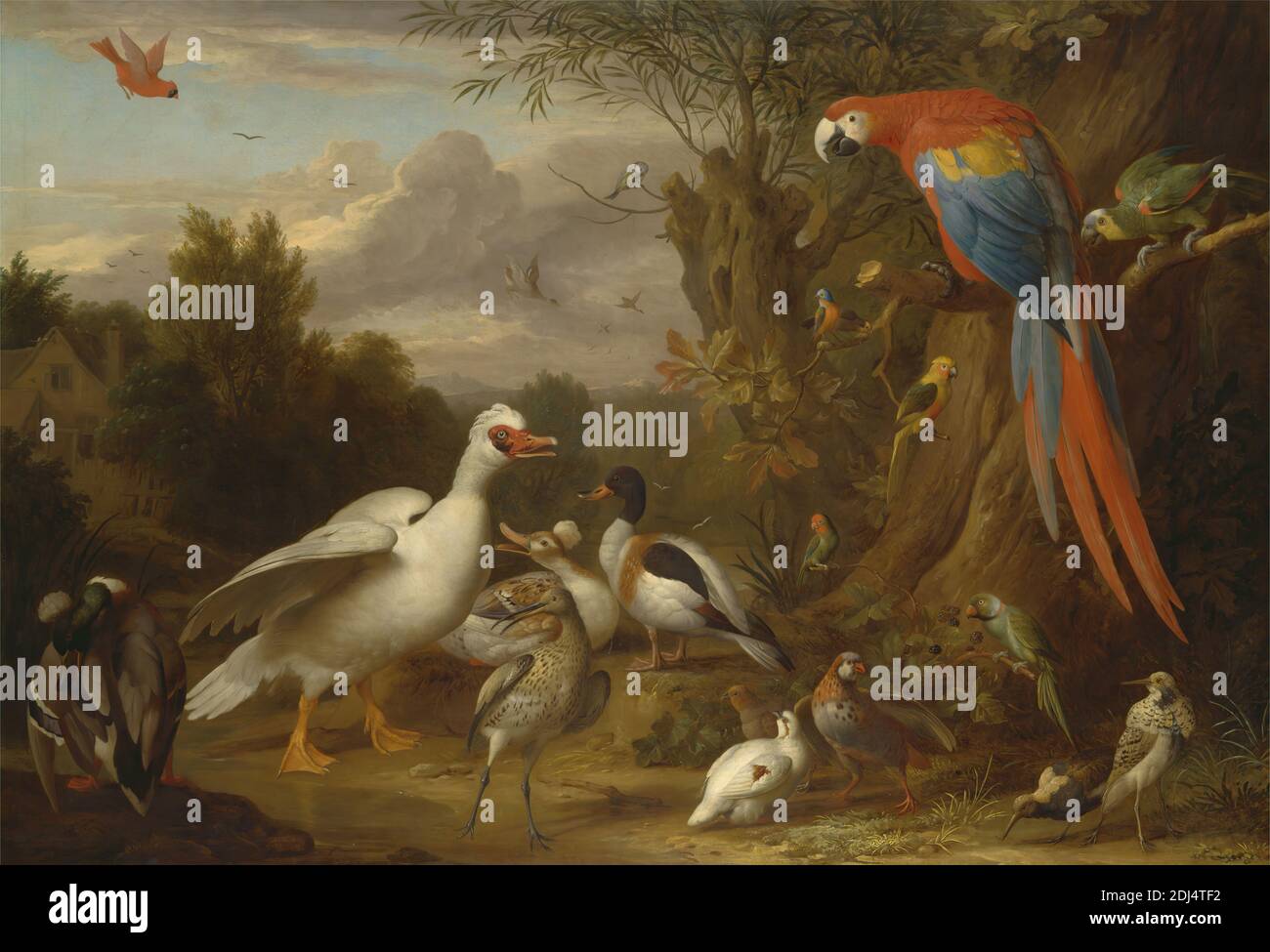 Jacob bogdani hi-res stock photography and images - Alamy