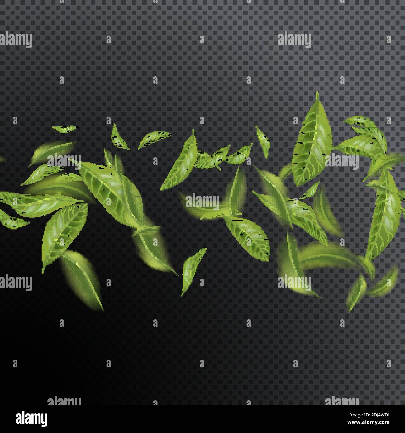 Beautiful Flying Green Tea Leaf Stock Vector Image & Art - Alamy
