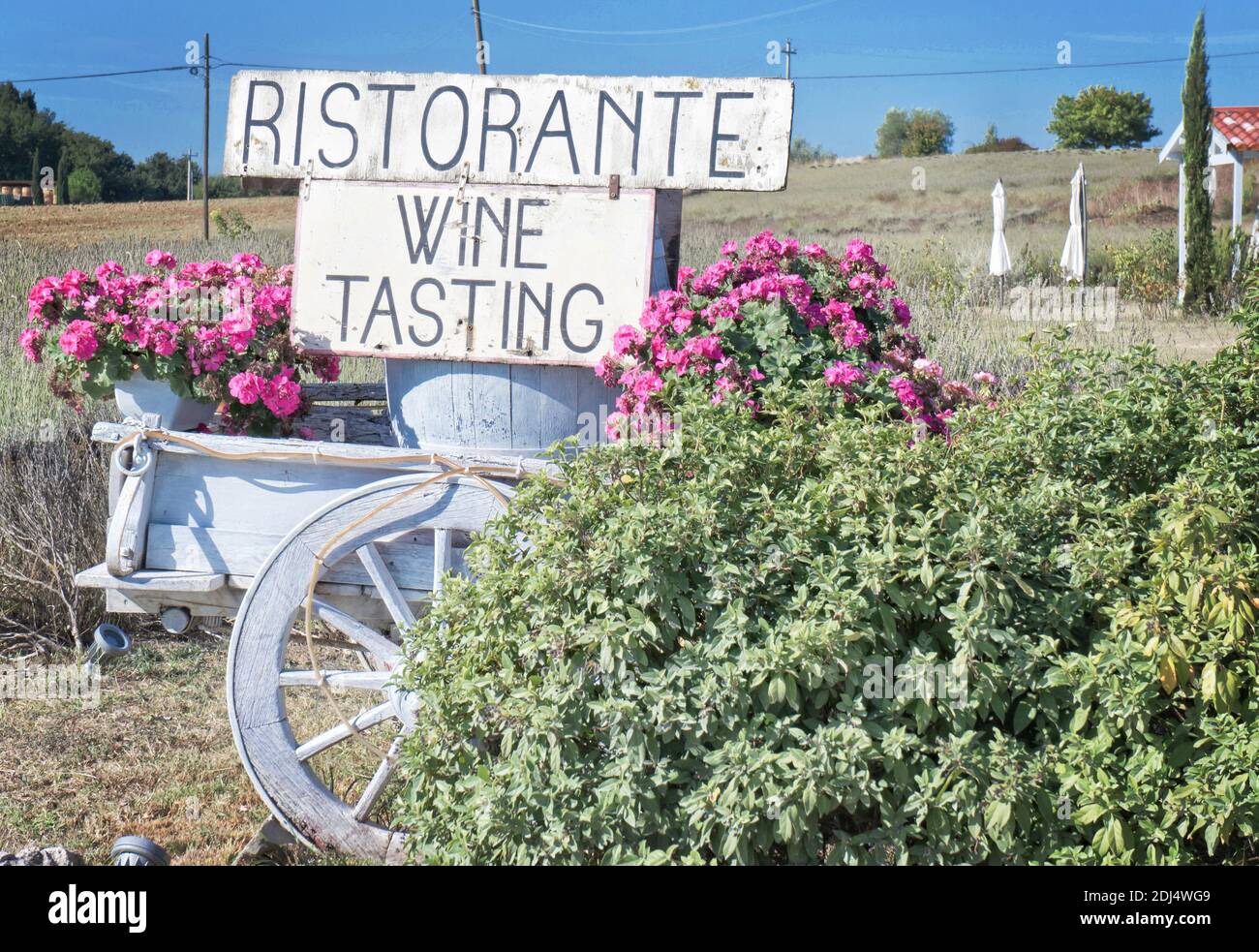 Wine tasting sign - Tuscany Italy Stock Photo - Alamy