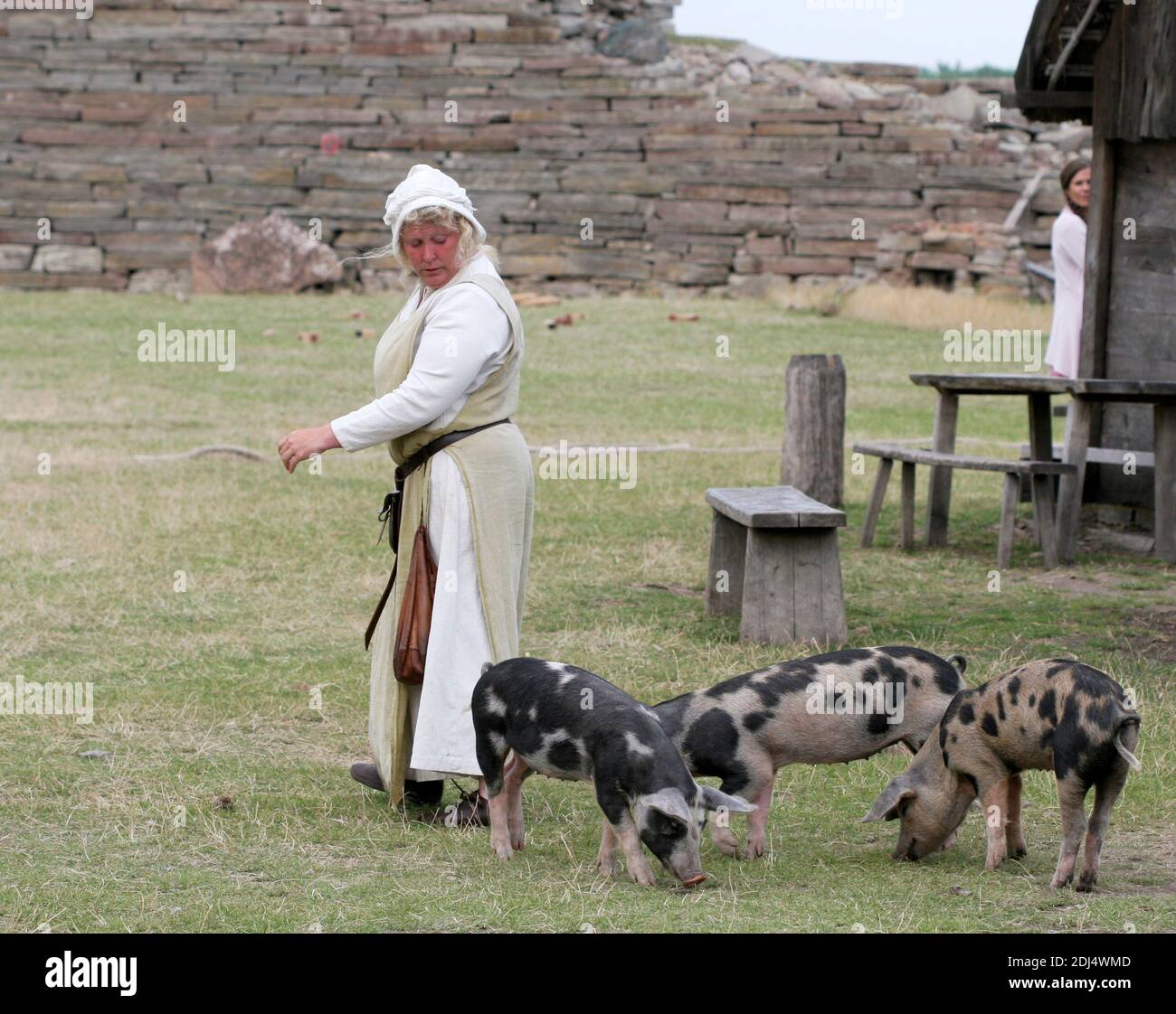 EKETORP Iron age fort in southeastern Öland women and pigs among the ...