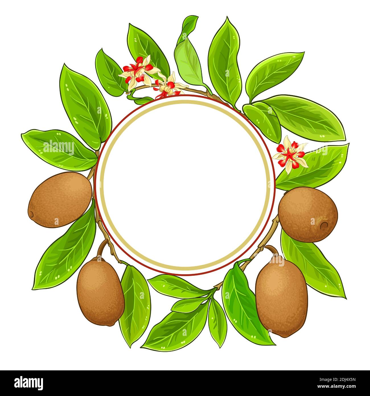 cupuacu vector frame Stock Vector Image & Art - Alamy