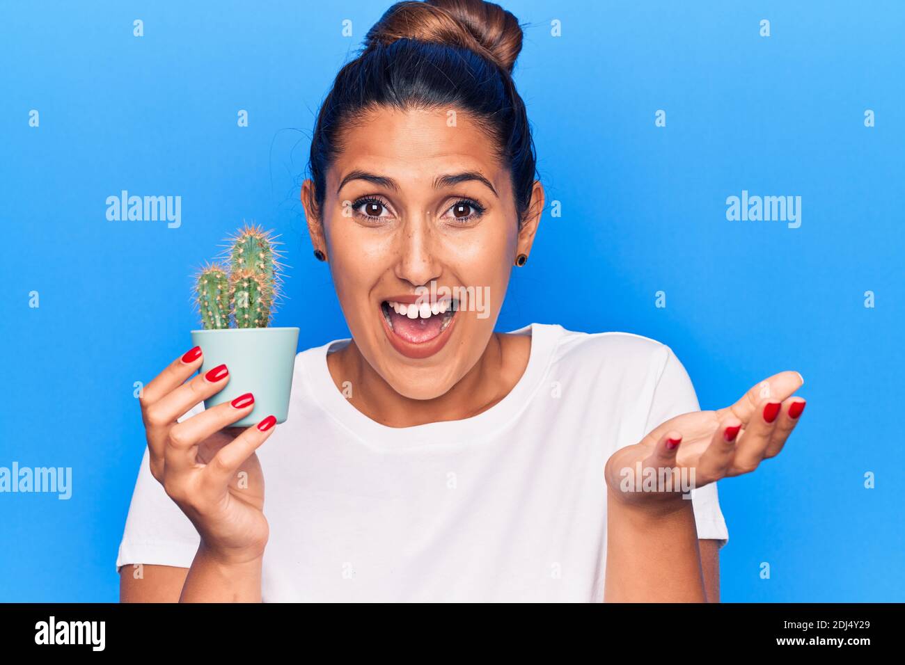 Young beautiful brunette woman holding small cactus pot celebrating ...