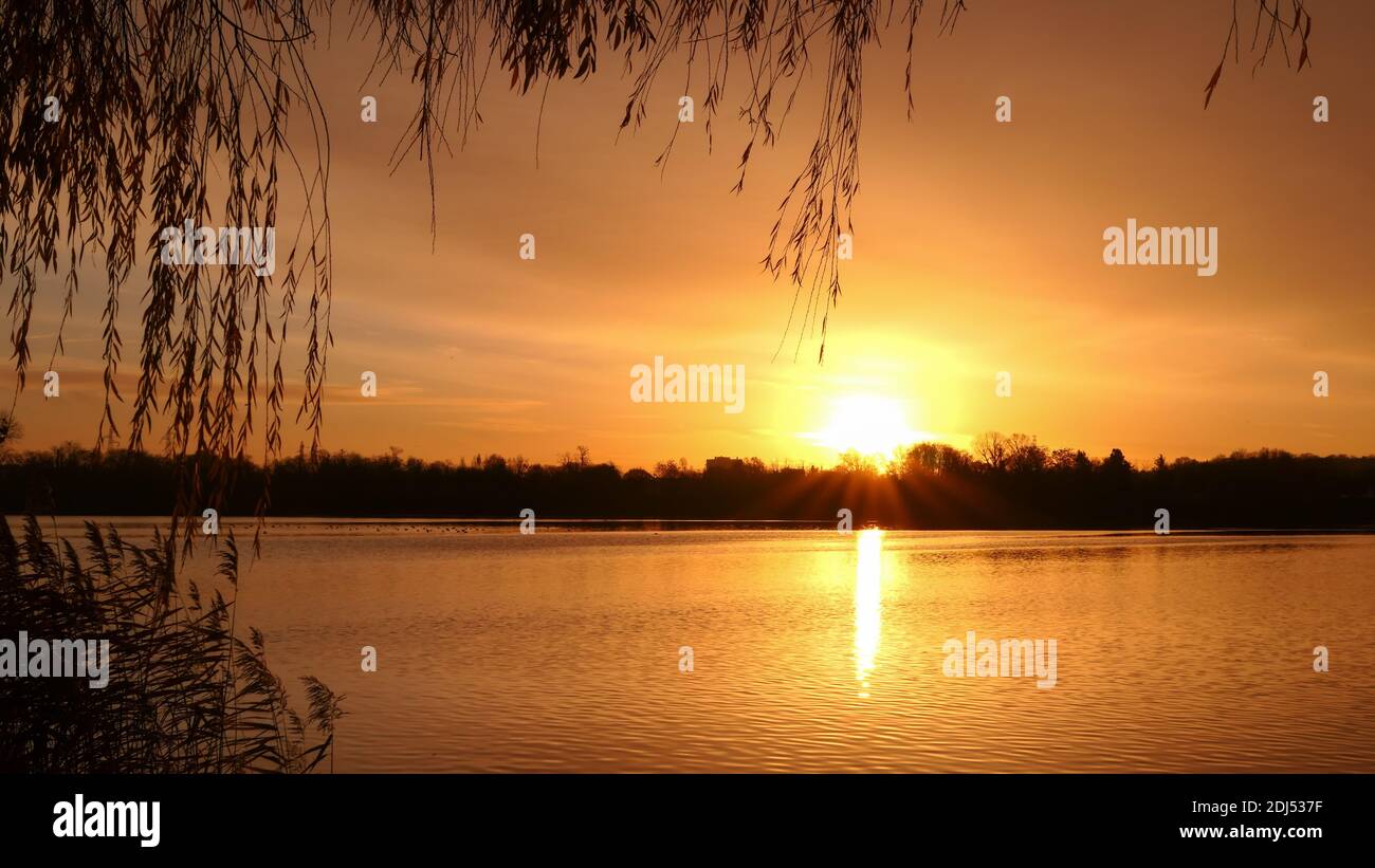 Willow trees sunset hi-res stock photography and images - Alamy