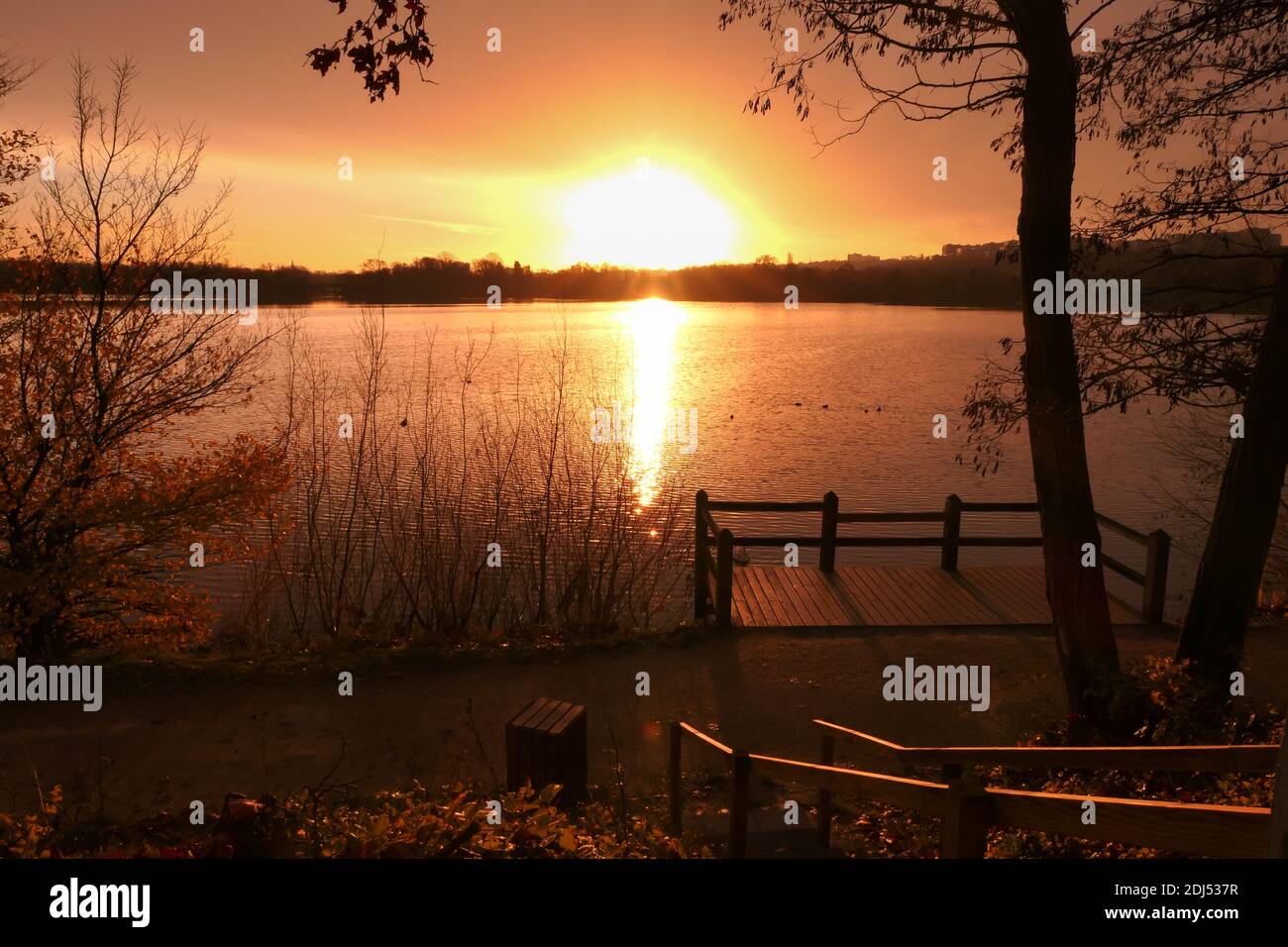 A tree in sunset light over a river hi-res stock photography and images ...