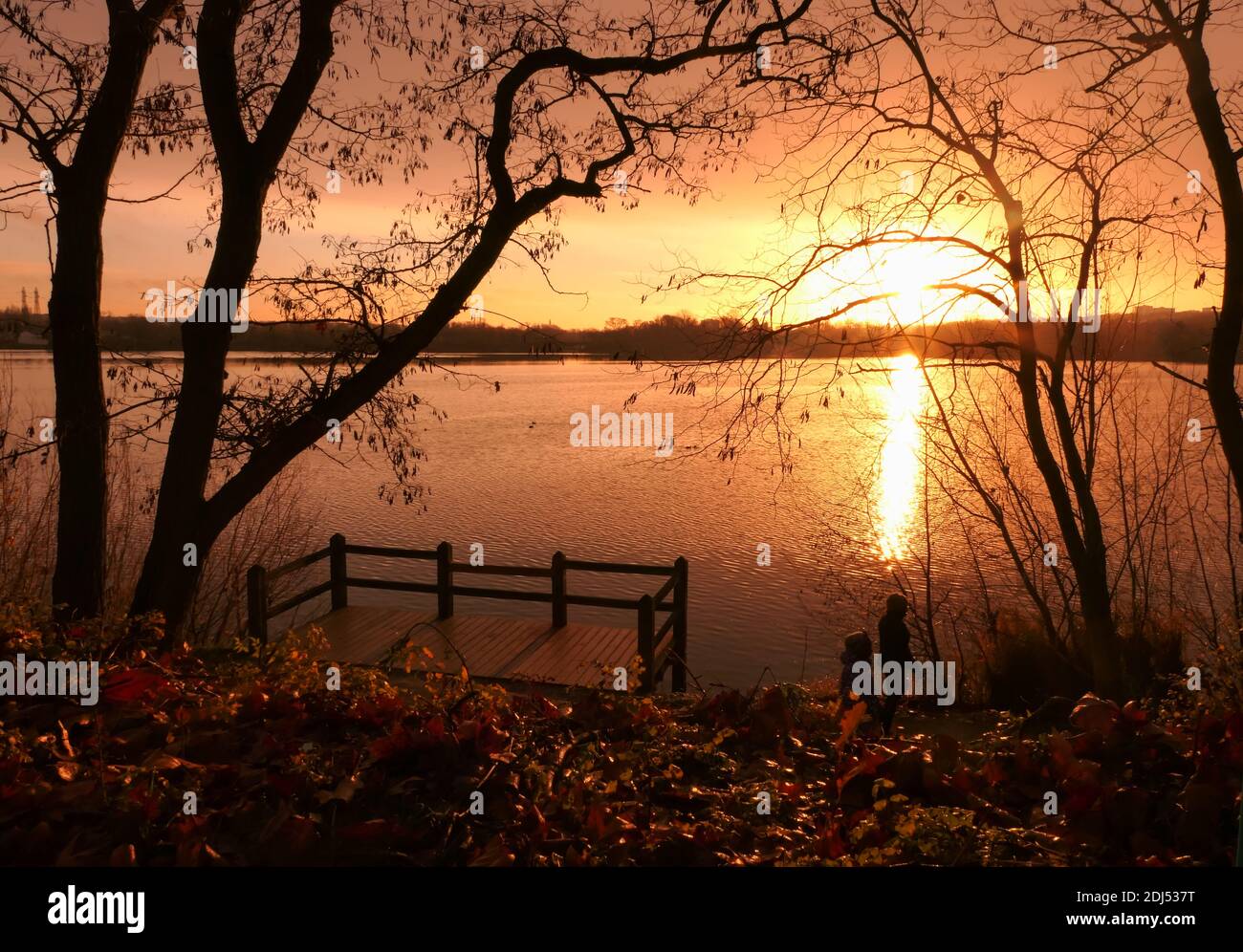 Amazing sunrise or sunset over a lake. Silhouette of tree without leaf ...