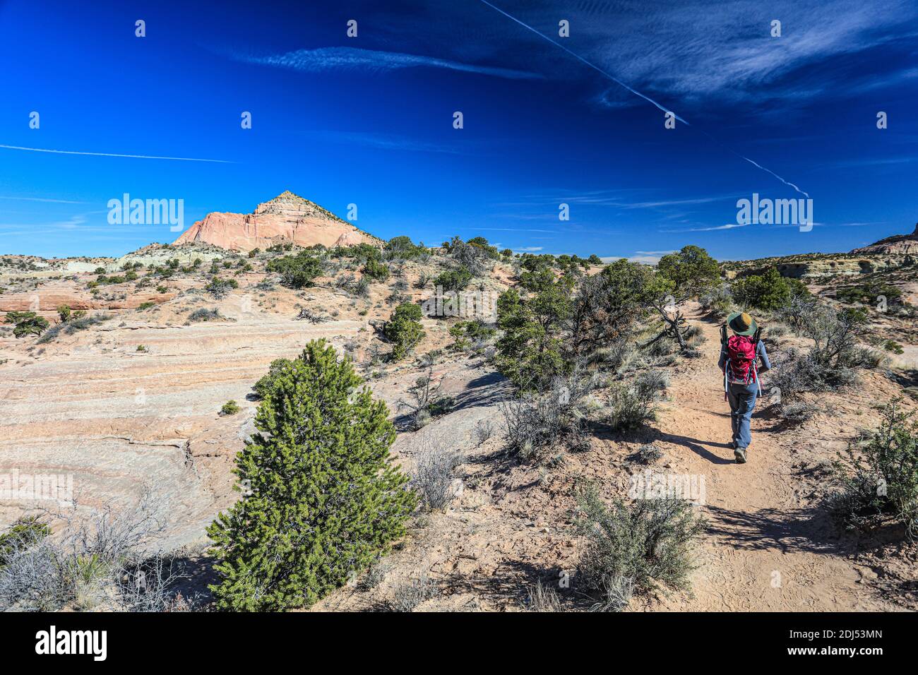 Hiking in Red Rock State Park, near Gallup in Arizona Stock Photo - Alamy
