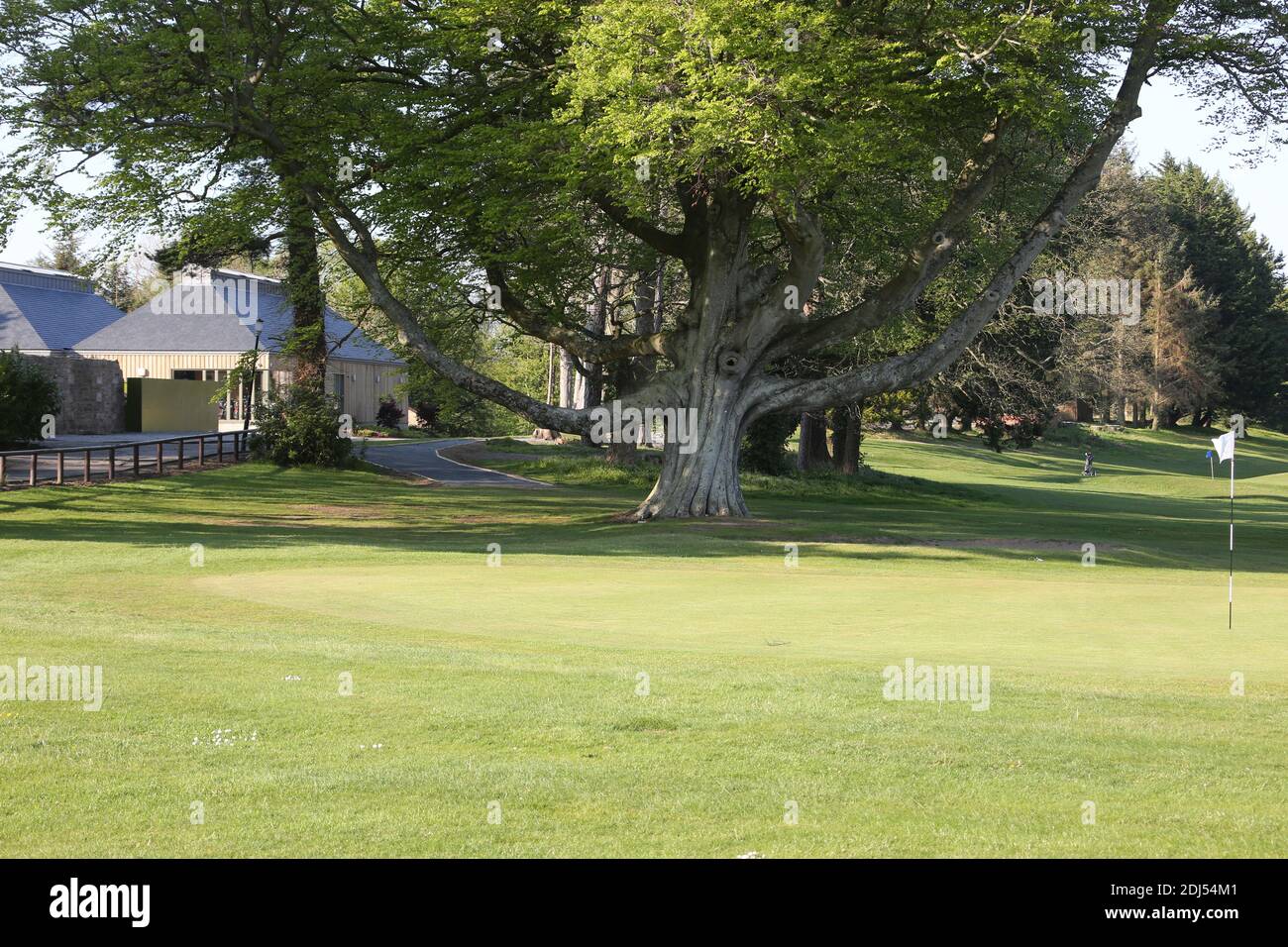 Garden club project hi-res stock photography and images - Alamy