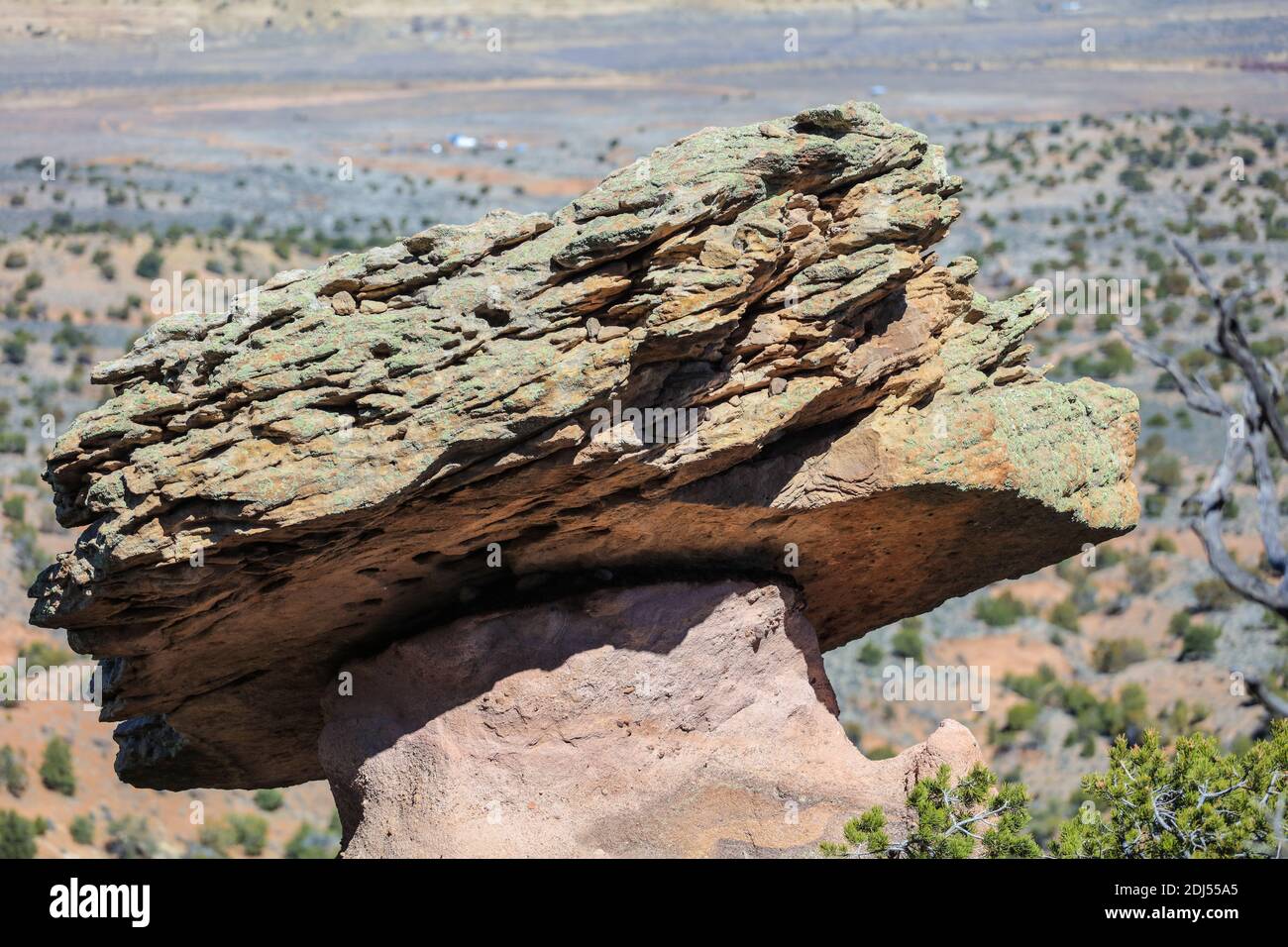Hiking in Red Rock State Park, near Gallup in Arizona Stock Photo - Alamy