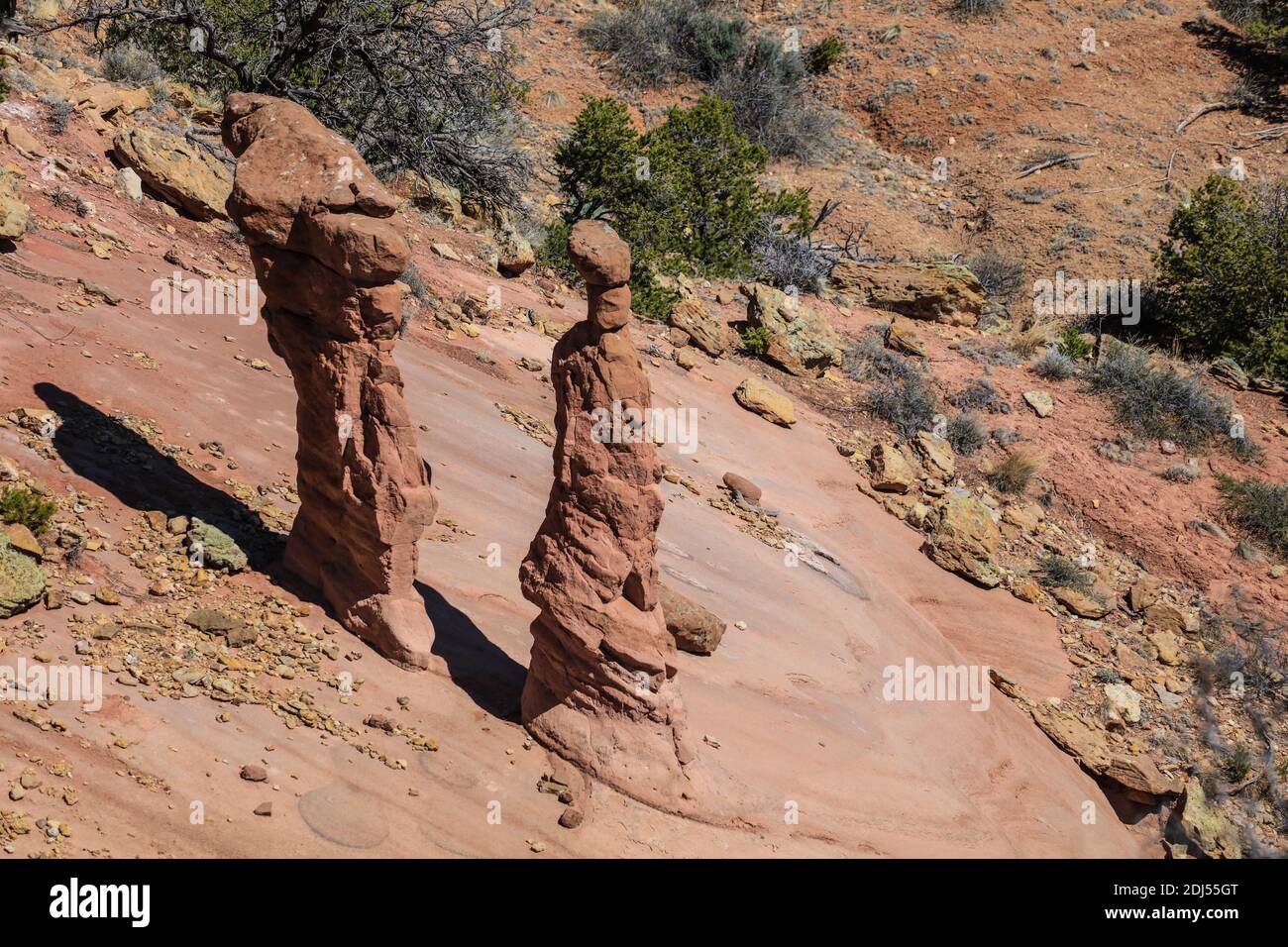 Hiking in Red Rock State Park, near Gallup in Arizona Stock Photo - Alamy