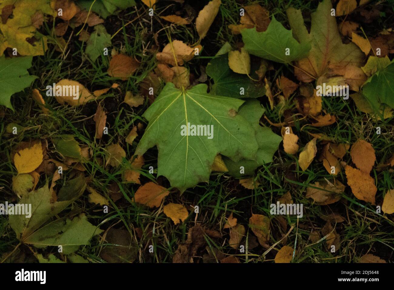 Riverside toe path hi-res stock photography and images - Alamy