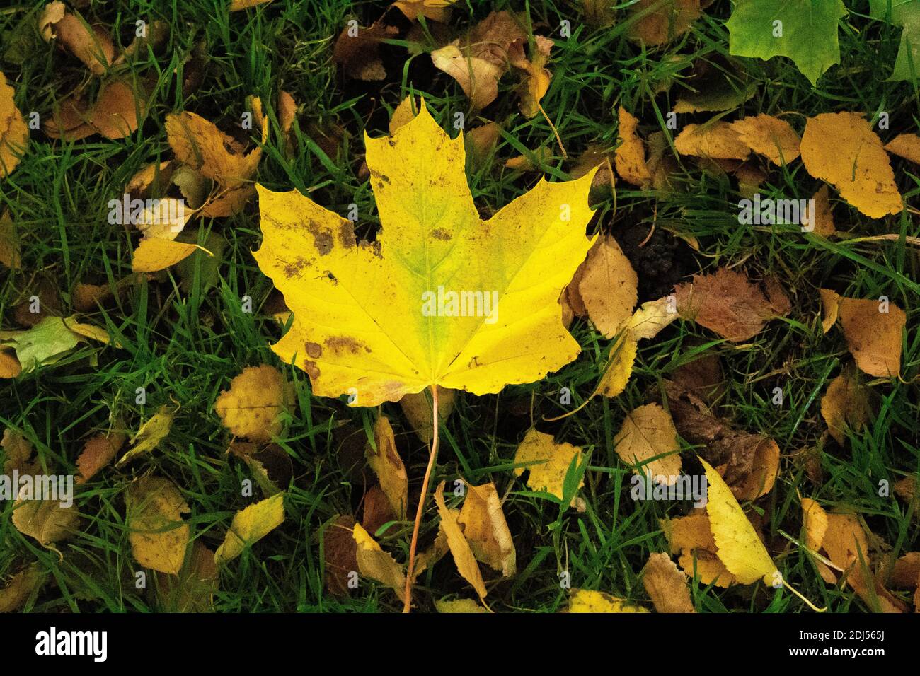 Riverside toe path hi-res stock photography and images - Alamy
