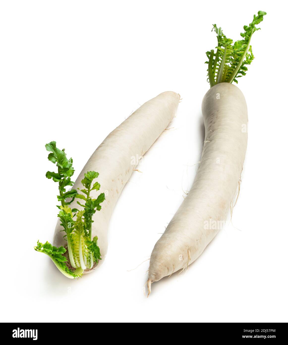 Mooli hi-res stock photography and images - Alamy