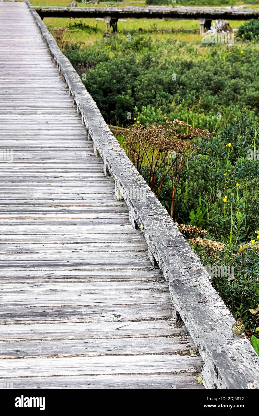 A vertical leading view of a grey old boardwalk Stock Photo - Alamy