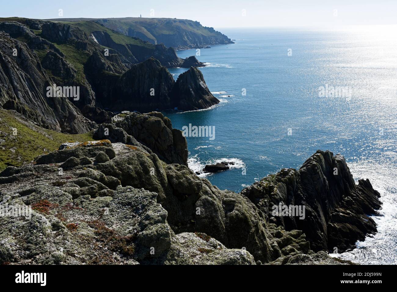 Lundy devon seals hi-res stock photography and images - Alamy